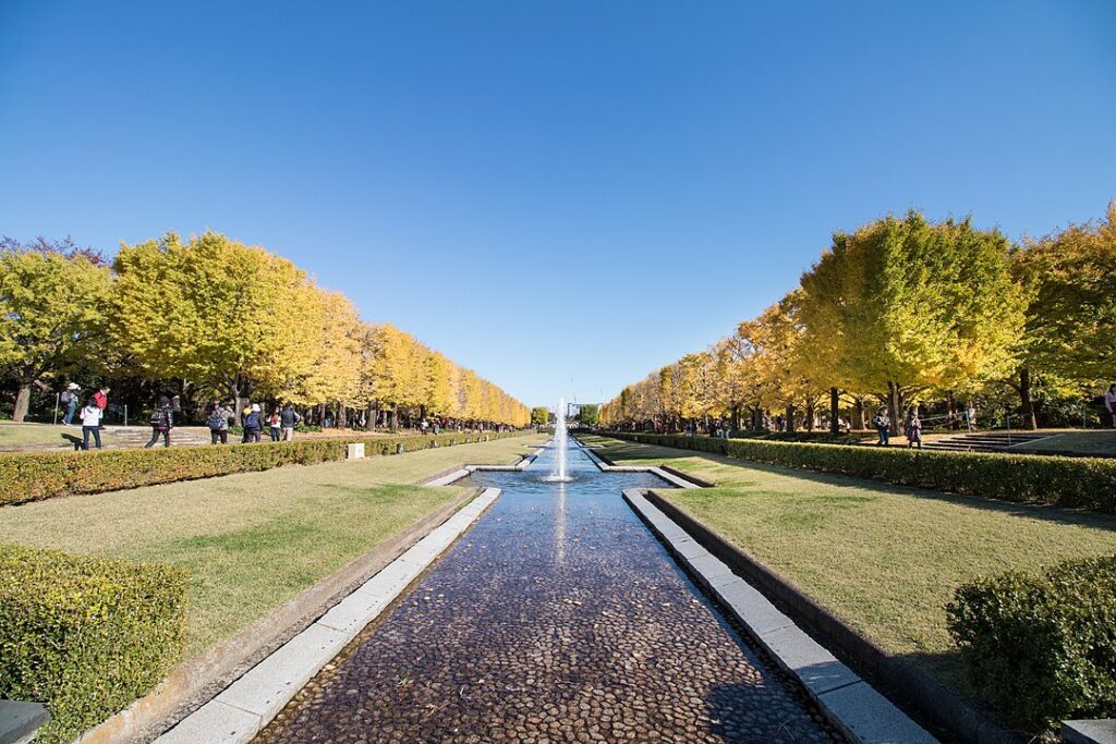 Showa Memorial Park: Tokyo’s Green Oasis – SakuraTrips