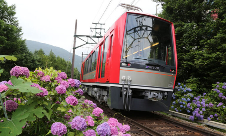 Hakone Tozan Railway: A Scenic Journey Through Time – SakuraTrips